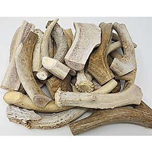 Big Dog Antler Chews - One Pound Pack of Sun-Aged Deer and Elk Antler Dog Bone Chews - Natural Healthy Long-Lasting Treat
