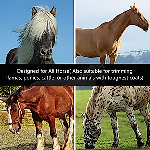 DUCKBOY Horse Clipper 380W Professional Heavy Duty Horse Grooming Kit Electric Animal Grooming Clipper Trimmer Remover for Horses, Equine, Cattle, Pony and Large Thick Coat Animals