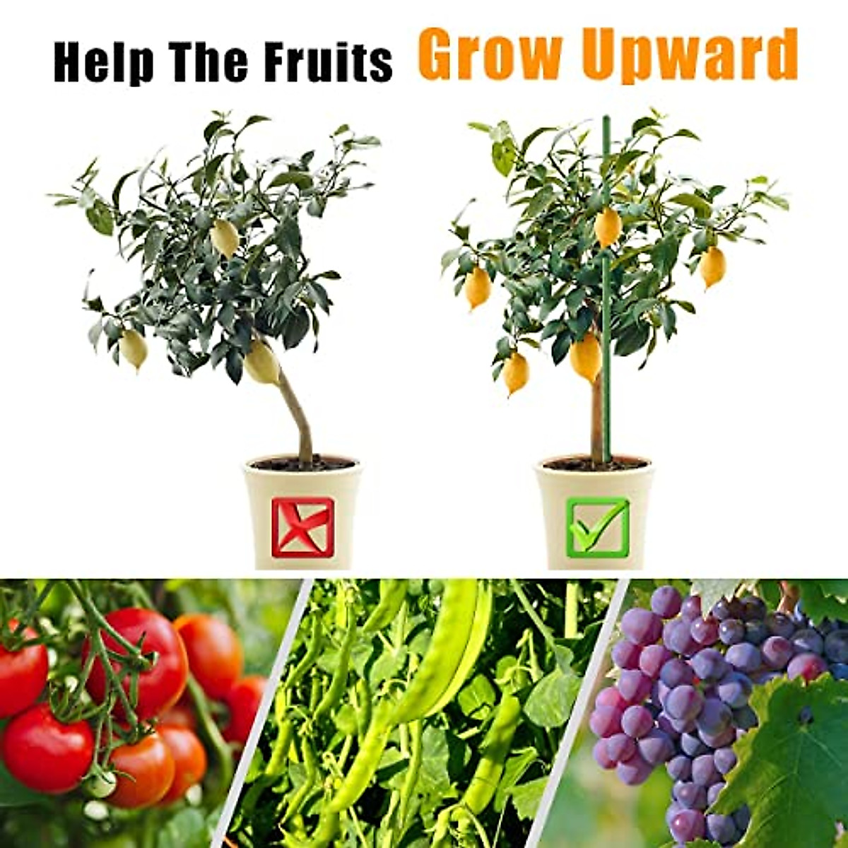 LAVEVE Garden Stakes 48 Inches Heavy Duty Steel Tomato Stakes, Plastic Coated Support Stakes for Securing Trees, Climbing Plants, Cucumber, Beans, Pack of 20