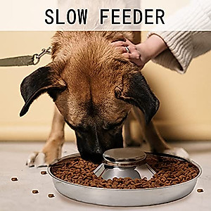 Thankspaw Stainless Steel Puppy Bowls, Set of 2 Puppy Feeder, Dog Food and Water Bowl, Food Feeding Weaning for Small Medium Large Dogs, Pets, M