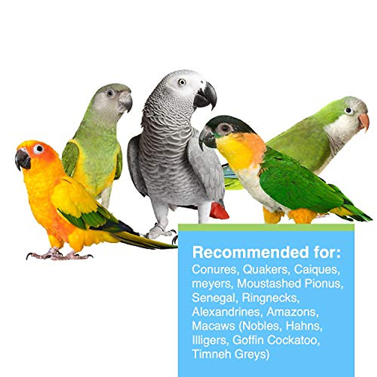 Hagen Tropimix Enrichment Food for Small Parrots, 20 lb. (9.07 kg) - HARI Small Parrot Food with Seeds, Fruit, Nuts, Vegetables, Grains, and Legumes