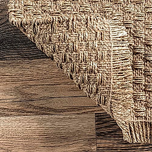 nuLOOM Tanya Casul Seagrass Fringe Area Rug, 8' x 10', Natural