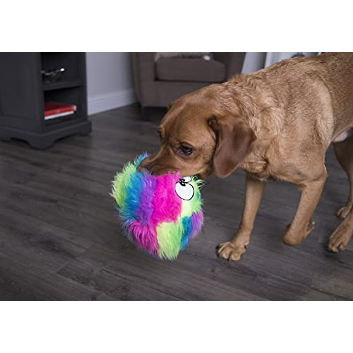 goDog Furballz Squeaky Plush Ball Dog Toy, Chew Guard Technology - Rainbow, Large