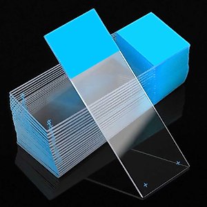 Globe Scientific Diamond 1358B White Glass Charged Microscope Slide, 25 x 75mm Size, Ground Edges, Blue Frosted (1,440 slides)