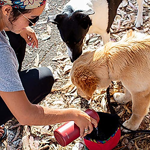 GiiVEN 24 oz. Bottle, Stainless Steel