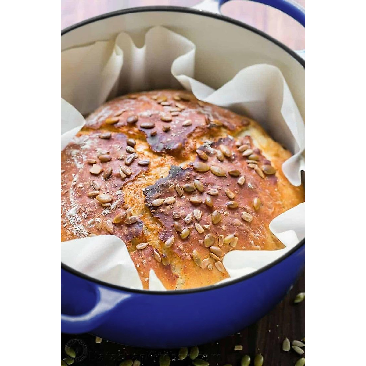 SPROS 6.4-Quart Enameled Cast Iron Dutch Pot with Lid and Dual Handles, Gas, Electric Safe; ceramic, induction and oven-safe up to 500°F - Blue