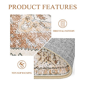 Lahome Boho Kitchen Rugs Washable - 2x3 Small Non-Slip Entry Rugs for Inside House Oriental Throw Area Rugs for Bedroom Accent Distressed Floor Doormat Carpet for Bathroom Entryway Laundry Living Room