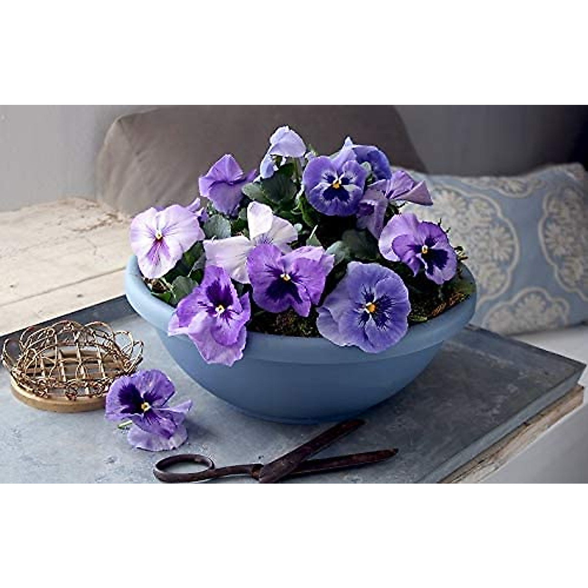 The HC Companies 15.5 Inch Large Garden Bowl Planter - Shallow Plant Pot with Drainage Plug for Indoor Outdoor Flowers, Herbs, Chocolate