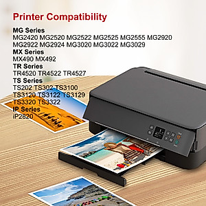 245XL Ink Cartridge High Yield Replacement for Canon Ink 245XL PG-245XL PG 245 Use with PIXMA MX492 MX490 MG2522 MG2920 MG2420 MG2520 MG2922 TS3100 TS3122 TS3320 TR4520 TR4522 Printers, 2 Black