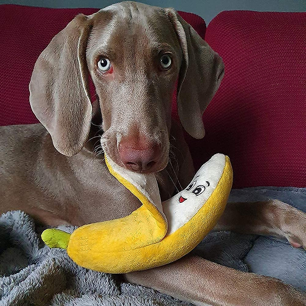 CHEWFFON Dog Toys, Dog Banana Toy, Dog Plush Toy, Squeaky Dog Toys, Dog Chew Toys, Dog Stuffed Toys for Boredom, Cute Soft Puppy Gifts Toy for Small, Medium and Large Size Dogs (Banana)