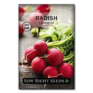Sow Right Seeds - Radish Seed Collection for Planting - Champion, Watermelon, French Breakfast, China Rose, and Minowase (Diakon) Varieties - Non-GMO Heirloom Seed to Plant a Home Vegetable Garden