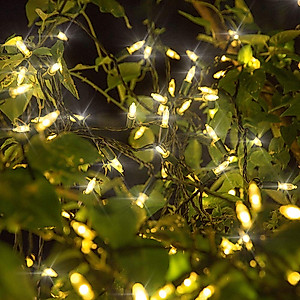 Twinkle Star 300 LED Christmas Mini String Lights, 99 FT Fairy Lights with Safe Adapter for Indoor Outdoor Home Garden Party Christmas Decoration, Warm White