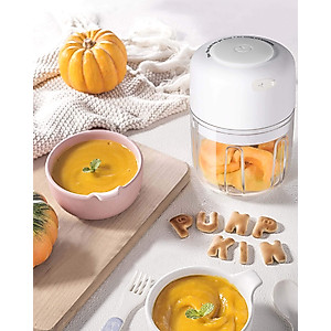 AYOTEE Cordless Electric Small Food Processor, Mini Food Chopper for Garlic Veggie Vegetables Fruit, Salad Mincing & Puree, Kitchen, 1Cup 250ML, BPA Free, White