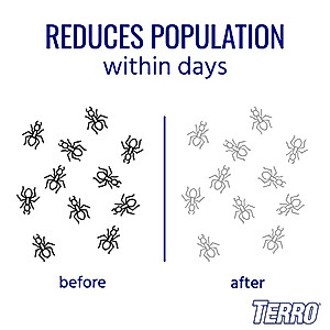 Terro T324B 4-Pack Liquid Ant Baits, Orange