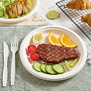 Vplus 150 Pack Paper Plates 9 inch 100% Compostable Plates Heavy-Duty Disposable Paper Plates Bagasse Natural Biodegradable Eco-Friendly Sugarcane Plates（White）