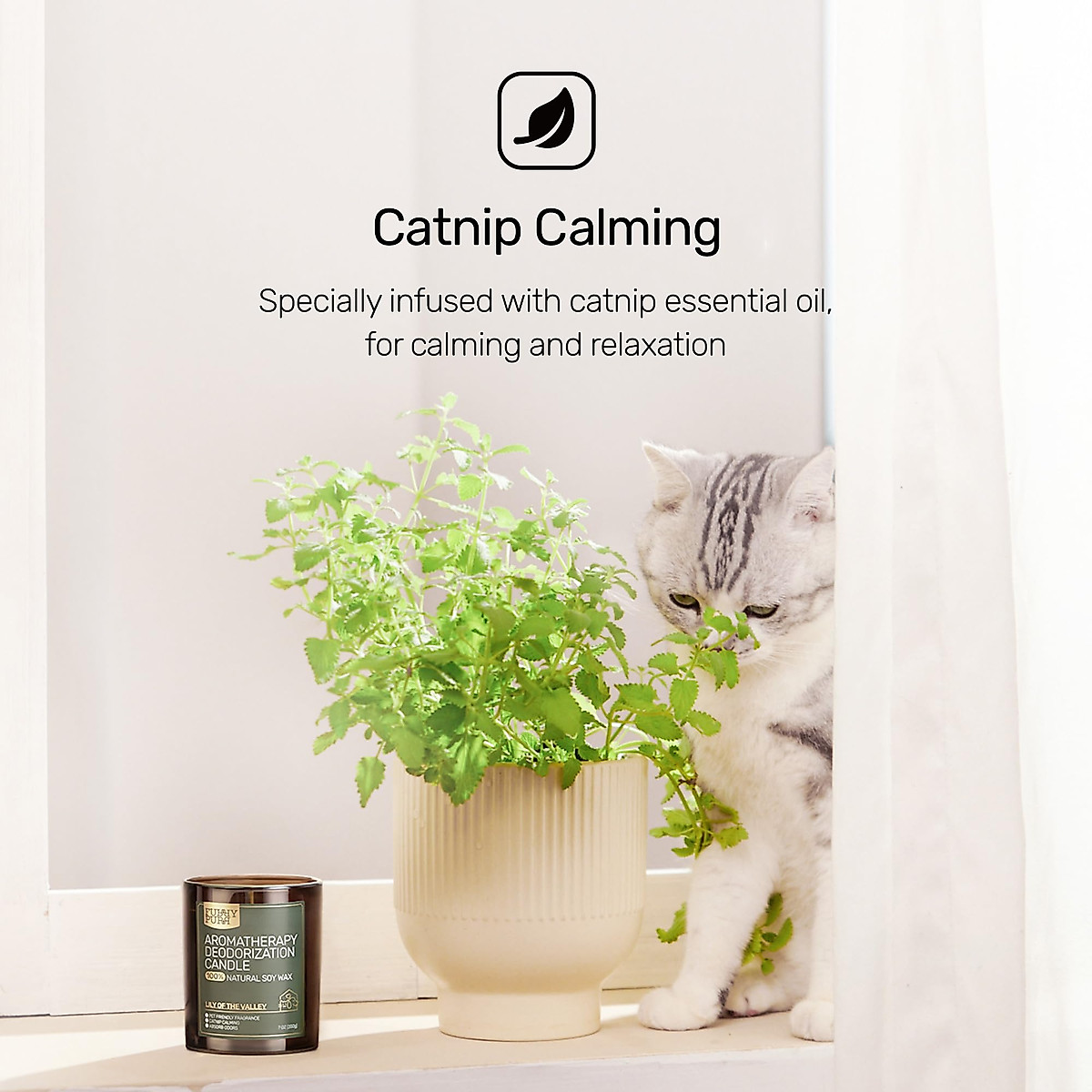 Furry Purr Candles for Home Scented, Pet Odor Eliminator Candle, Lily of The Valley, Aromatherapy Jar Candle Gifts for Women Yoga, Non-Toxic Soy Wax & Catnip Essential Oil, Animal Lover Gift, 7 Oz