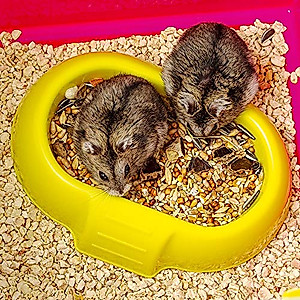 Ferplast Laura Small Hamster Cage | Fun & Interactive Cage Measures 18.11L x 11.61W x 14.8H & Includes All Accessories