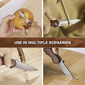 BARRYSAIL Damascus Small Pocket Knife, Folding Knife with 2.4 Inch Blade, Liner Lock, Wood Handle for EDC, Outdoor Camping, Survival