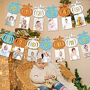 Our Little Pumpkin is Turning One Decorations Pumpkin First Birthday Decorations Girl 1ST Birthday Photo Banner Little Pumpkin Banner Fall Birthday Party Decorations