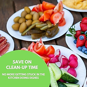 Disposable Eco-Friendly Party 9" Paper Plates Assorted Colors 20ct (White)