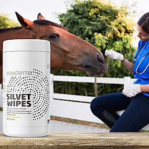 NEXDERMA Hygienic Pets Multipurpose Wipes, 84 Count - Multipacks (Pack of 2)