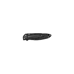 Kershaw Leek Black Serrated EDC Pocketknife, 3" Sandvik 14C28N Steel Blade, Assisted Opening Folding Knife