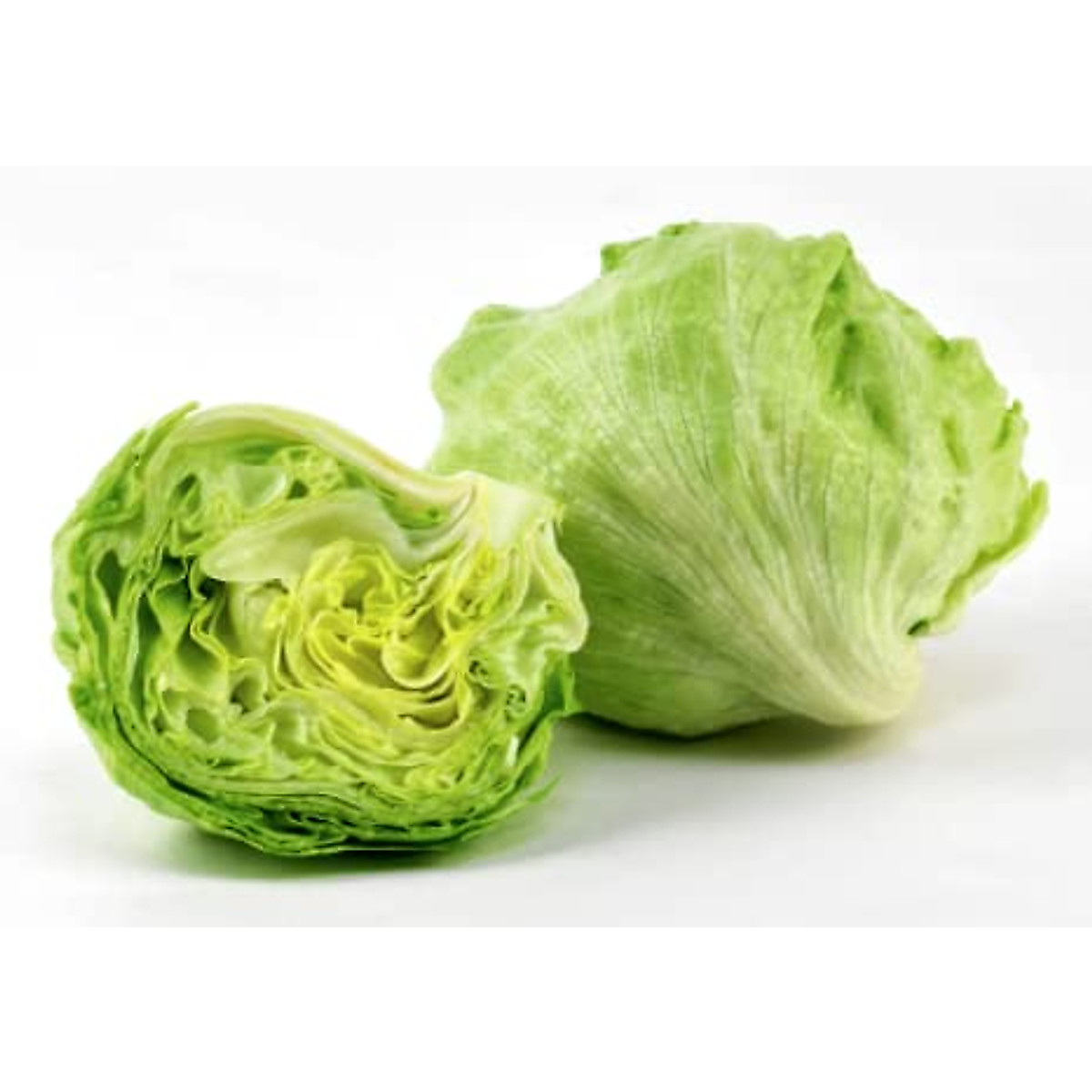 Iceberg Lettuce Seed Pods (3) for HydroGarden