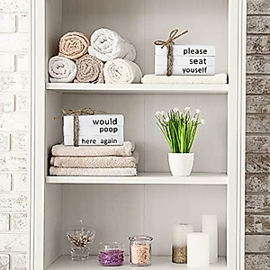 Set of 2 Wooden Farmhouse Mini Books for Bathroom Farmhouse Mini Bookstack Wooden Mini Books Farmhouse Decorative Books for Restroom Rustic Bathroom Decor for Home Shelves Accent Accessories