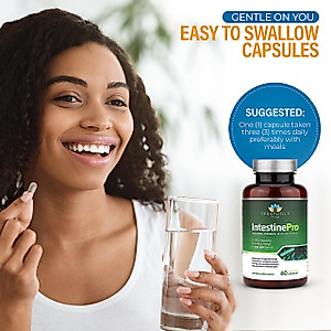 IntestinePro Intestine Support for Humans with Non-GMO Wormwood, Black Walnut, Echinacea + 15 More Premium Ingredients, 60 Vegetarian Capsules