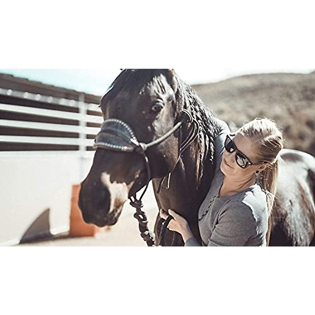 REDMOND Daily Gold Syringe Natural Healing Clay for Gastric Ulcers in Horses (Stress Relief Pre-Race Paste) (Single Pack)