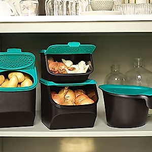 NEW TUPPERWARE MODULAR MATES GARLIC STORAGE 2.3 KG (Single Pack)