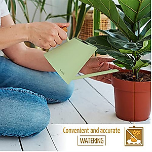 Grehge an Indoor Plants, Small Stainless Water Can Wooden Handle for House and Office Bonsai Flowers, Cute Watering Can Garden Sculpture Outdoor Decoration