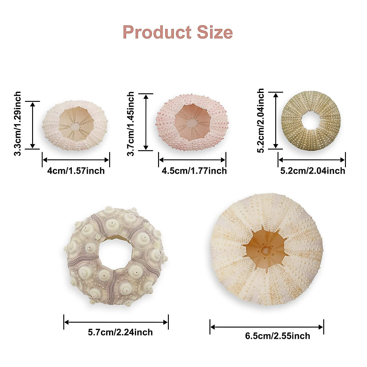 5 Pack Mini Sea Urchin Shell Hanging Pot-Air Plant Holder Hanging Decorative Cute Tillandsia Succulent Display Container with Rustic Ropes for Home Garden Beach Theme Party Wall Indoor Outdoor Decors