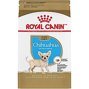 Royal Canin Breed Health Nutrition Chihuahua Puppy Dry Dog Food, 2.5 lb