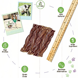 Nature Gnaws Braided Pork Jerky Sticks for Dogs - Premium Natural Dog Chew Treats - Rawhide Free Dental Bones - Long Lasting Training Reward Treat