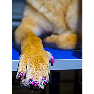 Warren London Pawdicure Dog Nail Polish Pen | Non Toxic, Odorless, & Fast Dry | Made in USA | 3 Pack Neon (Pink Purple Green)