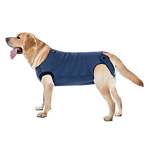 COODEO Dog Surgery Recovery Suit, Waterproof Recovery Suit for Dogs, Surgery Suit for Wounds Protect, Cone Alternative After Surgery, Dog Onesie for Surgery Female or Male (Blue, XS)
