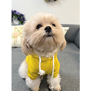 YoPetMax Pet-Parent Matching Leopard Pattern Family Look Pullover Hoodie Sweatershirt for Cat Small Dog Kitten Puppy Dogs&Mommy Outfits Clothes are Sold Separately(XL,Yellow)