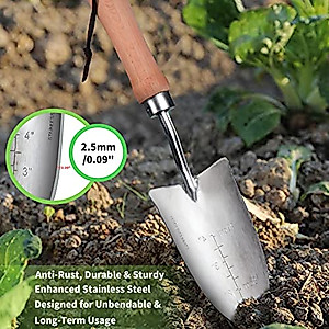 Garden Tools, 3 Pieces Heavy Duty Gardening Tools Set, 20Cr13 Stainless Steel Hand Tools with Wooden Handle, Including Trowel, Transplanter, Hand Fork with Gift Box