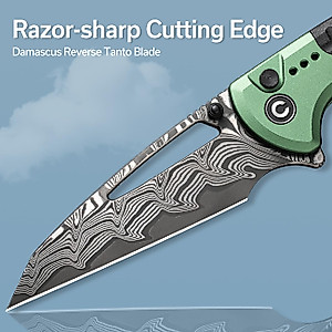 CIVIVI Sentinel Strike Pocket Knife with Glass Breaker, Utility Folding Knife for Outdoor EDC, 3.7" Reverse Tanto Damascus Blade, Aircraft Grade Aluminum Handle with FRN Integral Spacer C22025B-DS1