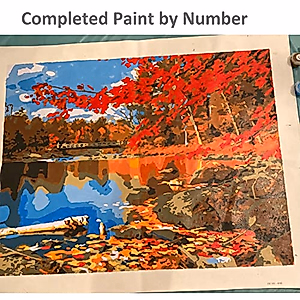 TOCARE DIY Acrylic Paint by Number for Adults On Canvas,Adult Painting by Numbers Kits Home Wall Art Decor,20x16Inch Maple Autumn Park-No Frame