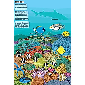 Under Water, Under Earth