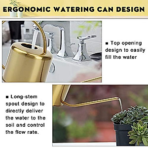 Remiawy Watering Can Indoor Outdoor Stainless Steel Watering Cans for House Plants Long Spout Water Can for Succulent Bonsai Garden Flower(40oz/1300ml)