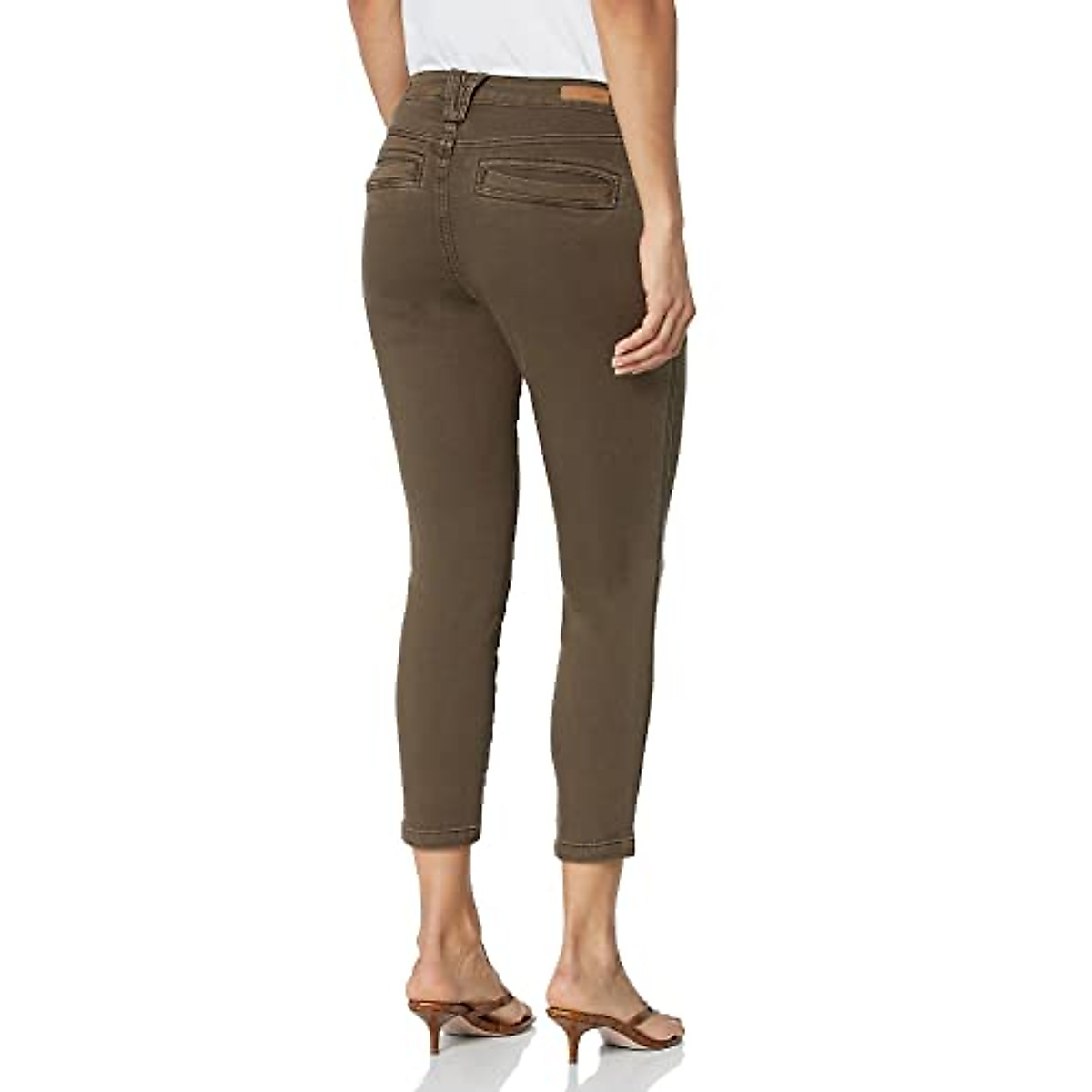 Jag Jeans Women's Petite Ryan Skinny Jean, Saddle, 2P