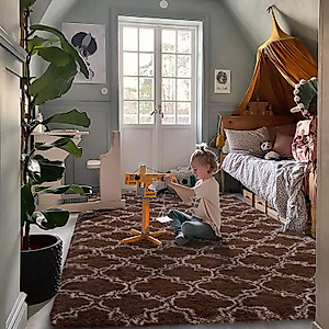 HOMORE Luxury Bedroom Rug, 4x6 Feet Area Rug for Living Room, Modern Fluffy Rugs, Soft and Comfy Rug for Kids Nusery Dorm and Home Office, Brown/Beige