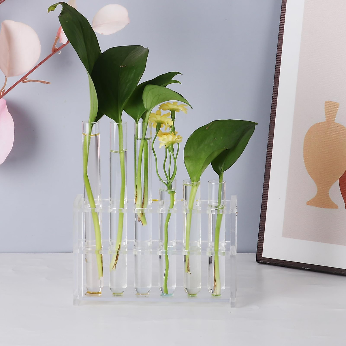 15x150mm Glass Test Tubes with Cork Stoppers 20 ml, 20 Pack Plant Propagation Tubes, Small Clear Test Tubes for Shots, Ants, Lab, Scientific Experiments