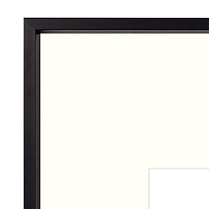 AUEAR, 16x20 Picture Frame - Display Photos 11x14 with Mat or 16x20 Without Mat - Aluminum Metal Pictures Frame for Wall Mounting - Real Glass (Black)