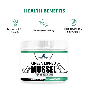 American Standard Supplements Green Lipped Mussel Powder for Dogs & Cats - Joint & Mobility Support - 3.17 oz (90g)