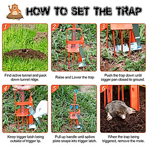 Qualirey 2 Pcs Mole Trap for Lawns, Spear Style Mole Killer for Garden Yard Outdoor, Alloy Steel Mechanical Vole Gopher Trap, Quick and Clean Mole Traps That Kill Best