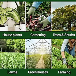 Elm Dirt's Bloom Juice for All Flowering Plants (1-32 oz Bottle)